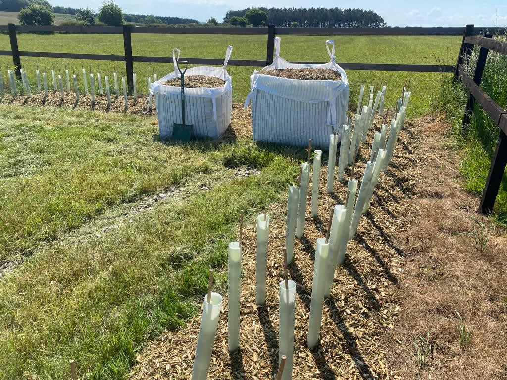 Willow Chip - Northumberland Logs
